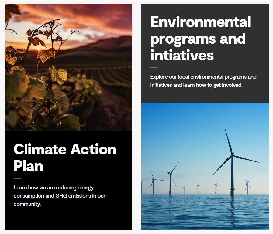 Text/Image | Govstack