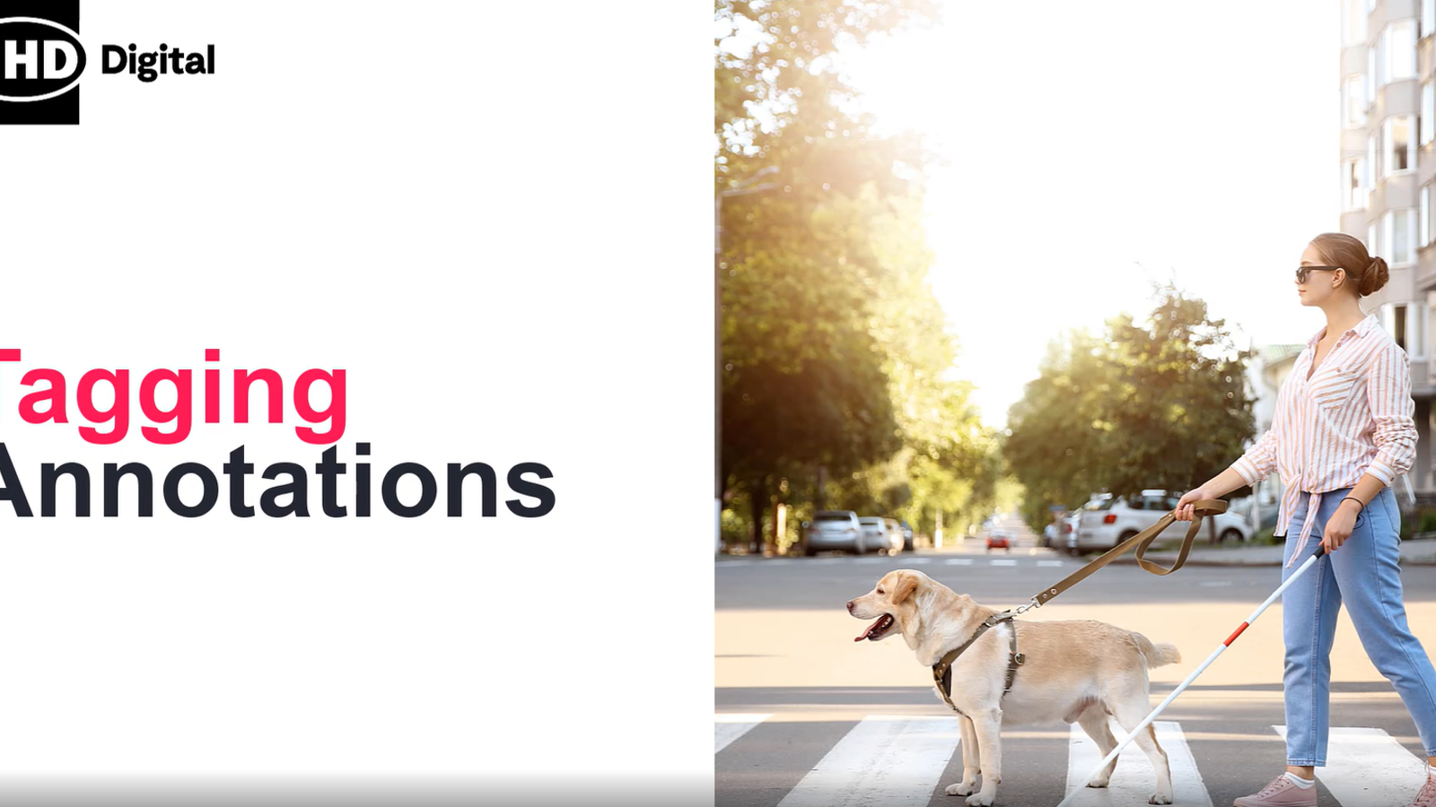 Accessible Document Training and Resources | Govstack